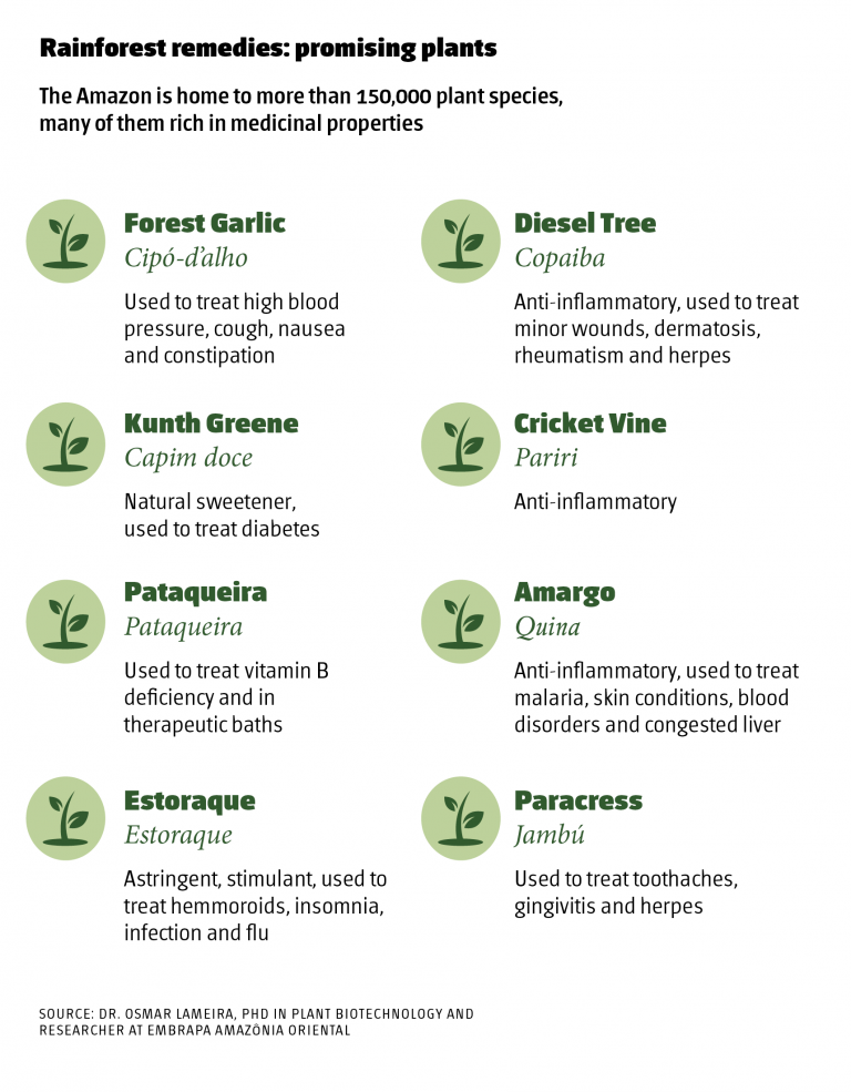Amazon Case Study: The Shrub Treating Glaucoma