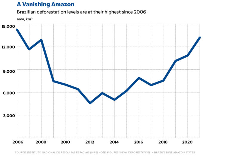 Four Strategies to Build a Future for the Amazon