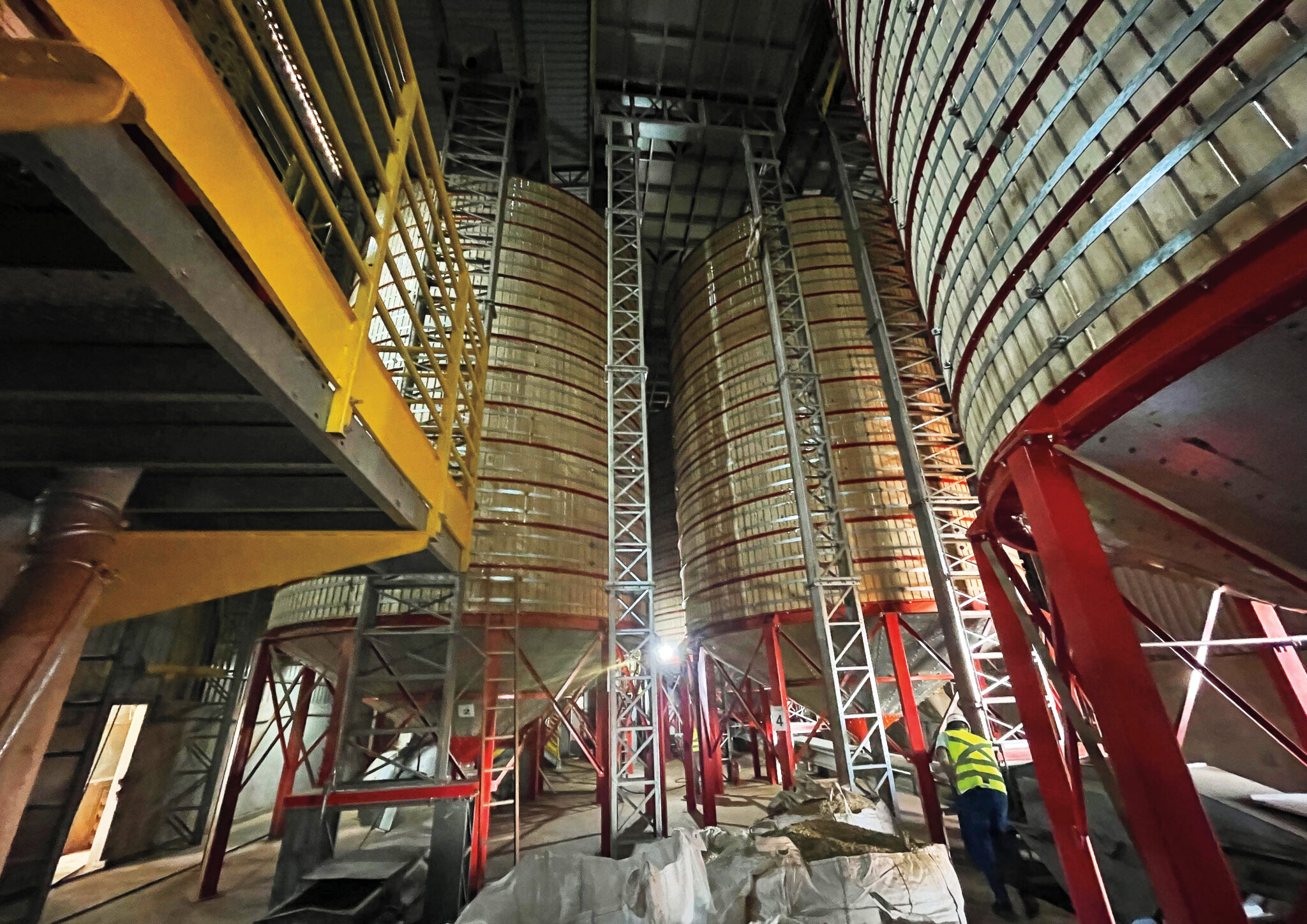 The Past, Present and Future of Soy in South America