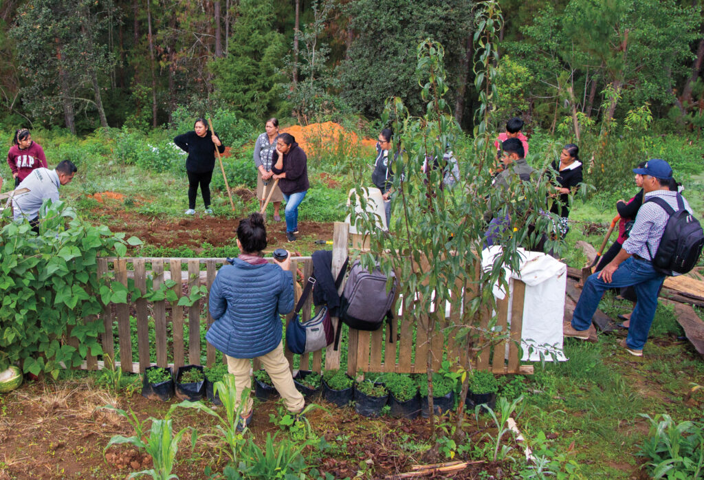 Mexico Archives - Americas Quarterly