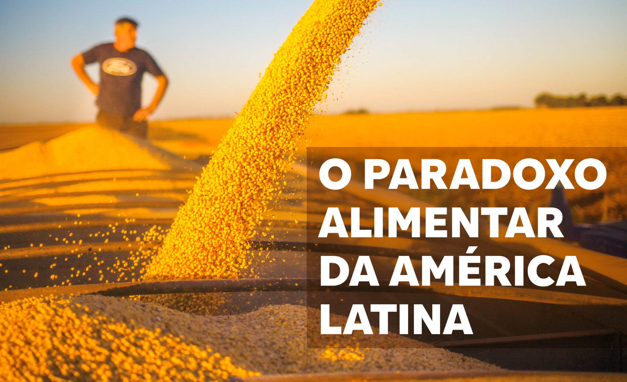 Food Security Archives - Americas Quarterly