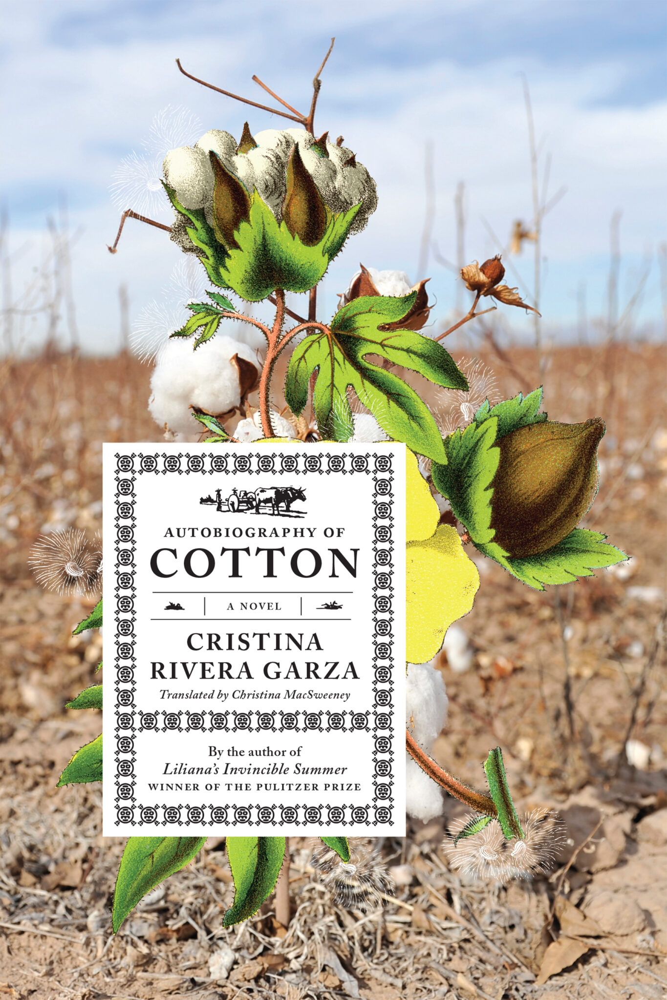 Visions of the U.S.-Mexico Borderlands